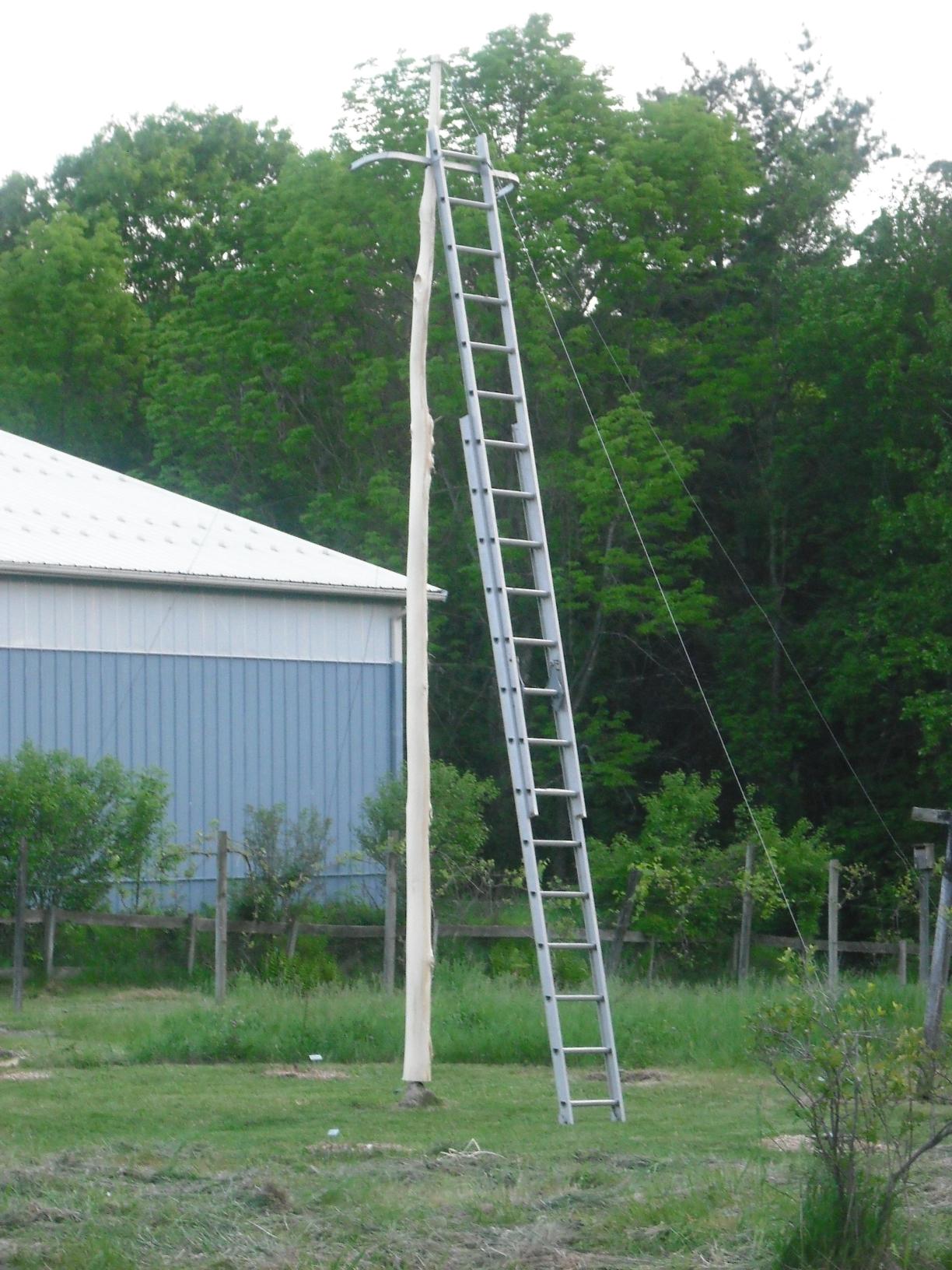 Ladder Physics, Part 1 | Jared Callaham